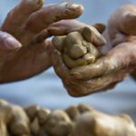 Hoi An Countryside Electric Buggy: Culture, Crafts & history - A Closer Look at the Experience