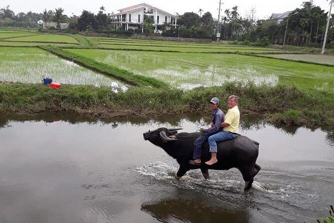 Hoi An countryside Tour from Hoi An - Da Nang City - FAQ