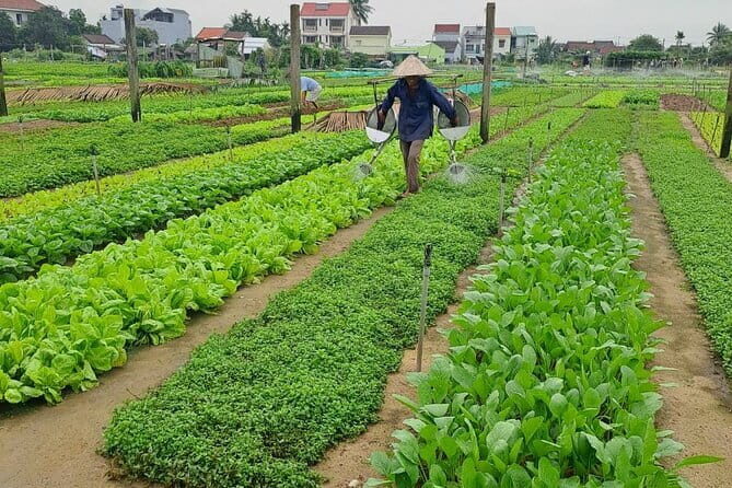 Hoi An craft villages and Tra Nhieu fishing village by bike/boat - Authenticity and Value: Why It’s Worth Your Time