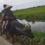 Hoi An Eco -Fishing,Buffalo Ride,Vegetable Farming, Authentic Lunch,Foot massage - Who Will Love This Tour?