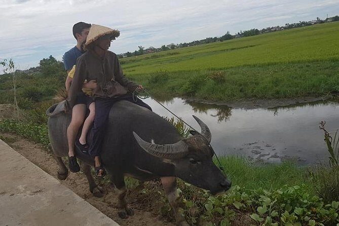 Hoi An Eco -Fishing,Buffalo Ride,Vegetable Farming, Authentic Lunch,Foot massage - Who Will Love This Tour?