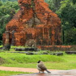 Hoi An: My Son Sanctuary Private Tour with Local Guide - Why the Tour Works Well