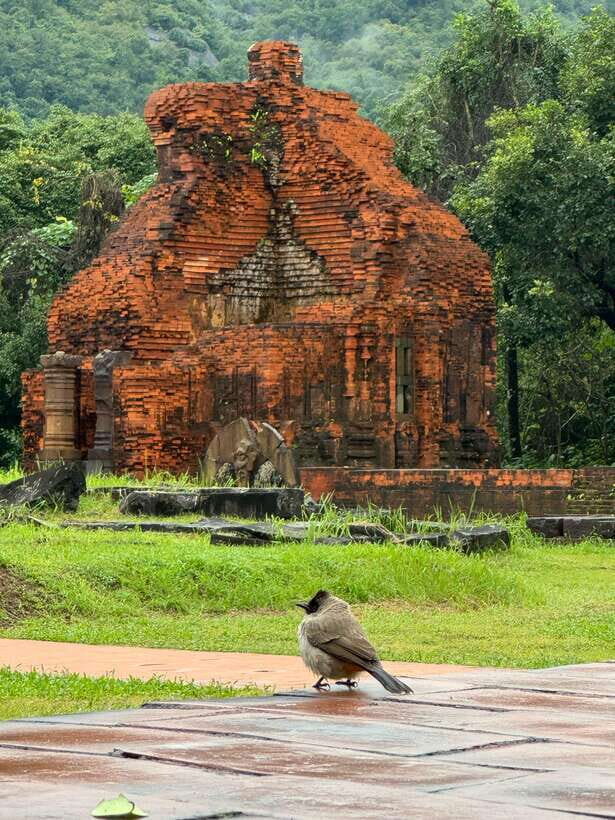 Hoi An: My Son Sanctuary Private Tour with Local Guide - Why the Tour Works Well