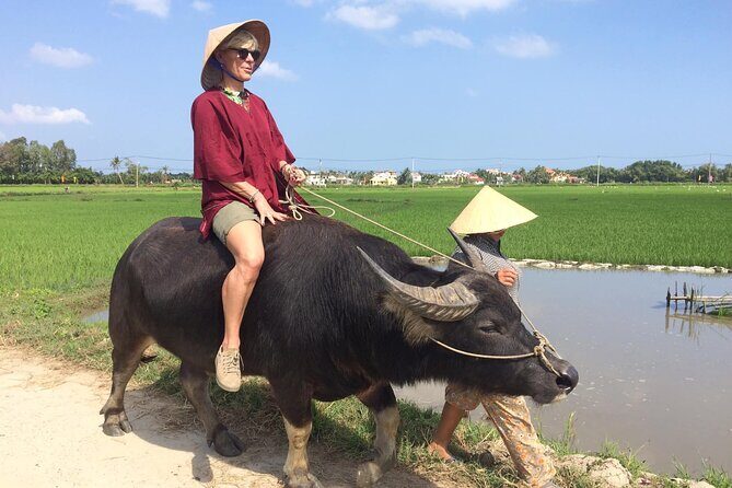 Hoi An Rice Farm Tour and Buffalo Riding with Local Home Meal - What Makes This Tour Stand Out?