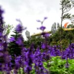 Hoi An to Ba Na Hills Private Car Transfer - Detailed Breakdown of the Itinerary