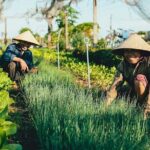Hoi An Villages Tour: Buffalo Ride, Basket Boat, Nature, Culture - What Travelers Say