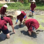 Hoi An Wet Rice Farming Tour Private Round Boat Fishing & Lunch - Who Will Love This Tour?