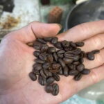 Hoi An:Coffee Making Class (Coffee: egg, Salt, Coconut, ...) - A Detailed Look at the Coffee Class in Hoi An