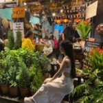 Hoian Old Town - Immersive Free Walking Tour - Who Would Love This Tour?