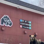 Hokkaido 10-hour chartered day trip Noboribetsu - Why This Tour Works Well for You