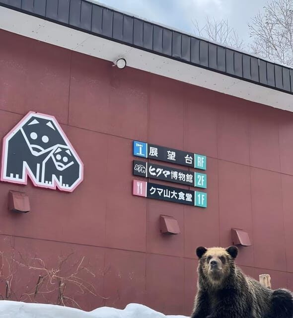 Hokkaido 10-hour chartered day trip Noboribetsu - Why This Tour Works Well for You