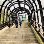 Hokkaido Asahiyama Zoo and Blue Pond Elf Terrace Day Trip - Considerations Before Booking