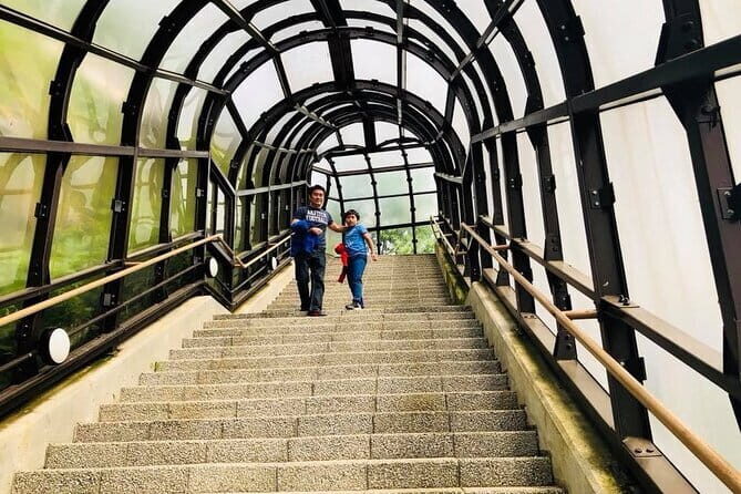 Hokkaido Asahiyama Zoo and Blue Pond Elf Terrace Day Trip - Considerations Before Booking