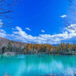 Hokkaido Day Trip From Sapporo: Asahiyama Zoo to Ningle Terrace - The Logistics and Practicalities