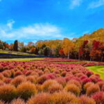 Hokkaido Jozankei Hoheikyo Dam Autumn Leaves Day Trip - Final Thoughts: Who Will Love This Tour?