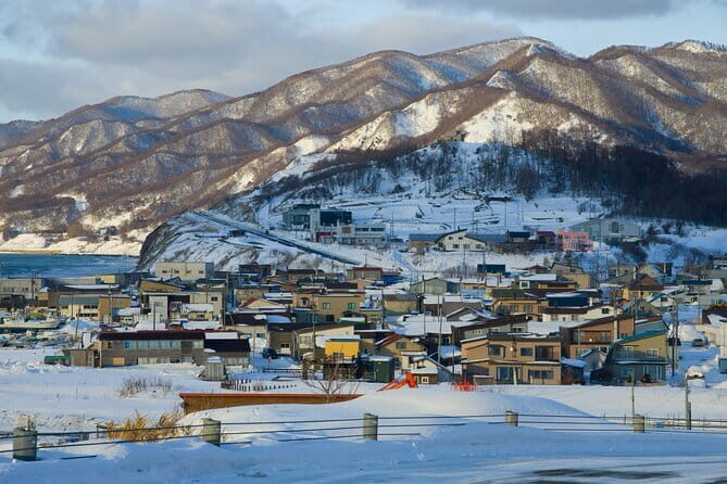Hokkaido Niseko Ski Day TourDepart from Sapporo - A Comprehensive Look at the Hokkaido Niseko Ski Day Tour