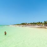 Holbox Island Tour with Pasion Island and Punta Mosquito - Authenticity and Traveler Feedback