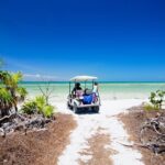 Holbox Tour with Ferry transportation and lunch included - Transportation: Comfort and Logistics