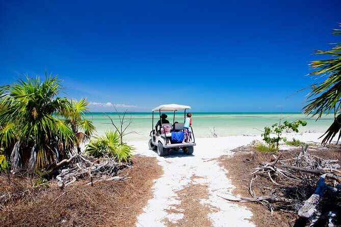 Holbox Tour with Ferry transportation and lunch included - Transportation: Comfort and Logistics