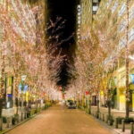 Holiday Lights Walk Tour Hibiya Midtown Tokyo Station Marunouchi - The Practical Aspects: What You Need to Know