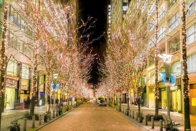Holiday Lights Walk Tour Hibiya Midtown Tokyo Station Marunouchi - The Practical Aspects: What You Need to Know