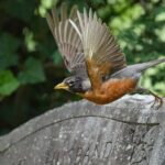 Hollywood Cemetery Hills and History - The Itinerary: What You’ll See and Experience