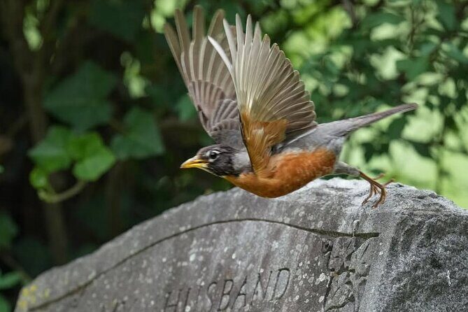 Hollywood Cemetery Hills and History - The Itinerary: What You’ll See and Experience