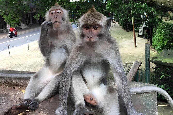 Holy water Temple Self-Purification & highlight Ubud Tour - FAQ