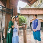 Hong Kong Disneyland: Disney Premier Access - How Does It Work?