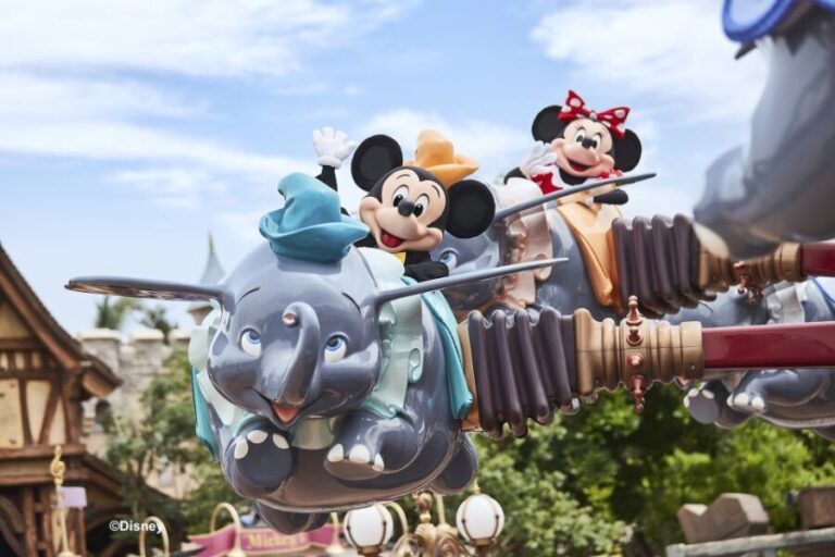 Hong Kong Disneyland Park Tickets - Practical Tips for Visiting