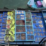 Hong Kong Kowloon 6 Hours Private Limo Tour - Customized Travel - What’s Included and What’s Not