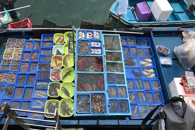 Hong Kong Kowloon 6 Hours Private Limo Tour - Customized Travel - What’s Included and What’s Not