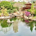 Hong Kong Private Shore Excursion 4/6hrs (with car - MPV) - Practical Details and Traveler Insights