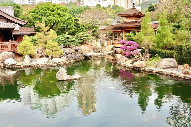 Hong Kong Private Shore Excursion 4/6hrs (with car - MPV) - Practical Details and Traveler Insights