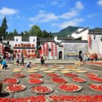 Hongcun and Chengkan Ancient Village Private Day Tour from Huangshan - An In-Depth Look at the Tour Experience