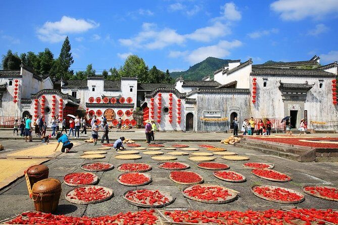 Hongcun and Chengkan Ancient Village Private Day Tour from Huangshan - An In-Depth Look at the Tour Experience