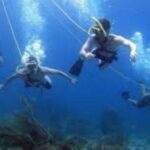 Hookah Diving Adventure in Zihuatanejo - Who Should Consider This Tour