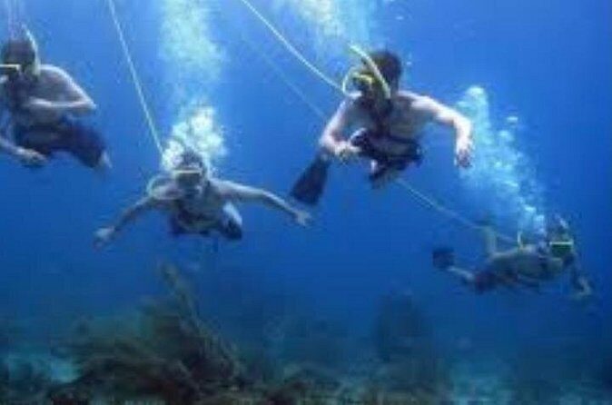 Hookah Diving Adventure in Zihuatanejo - Who Should Consider This Tour