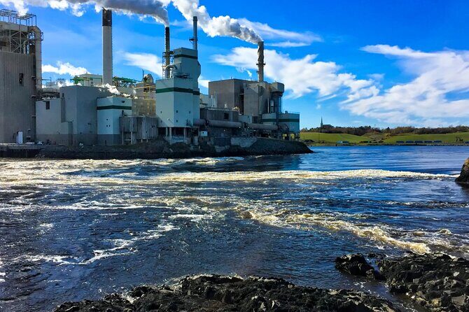 Hopewell Rocks Bay of Fundy Tour - Exploring the Bay of Fundy: A highlight with included entry fees