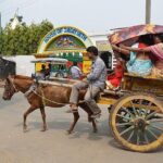 Horse Carriage (Tonga) Tour In The Old City Of Bikaner - What Did Travelers Say?