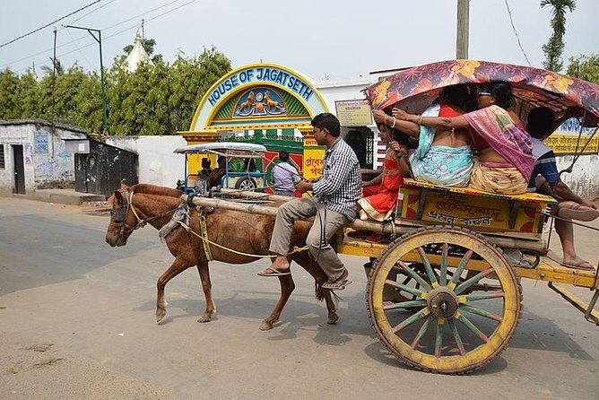 Horse Carriage (Tonga) Tour In The Old City Of Bikaner - What Did Travelers Say?