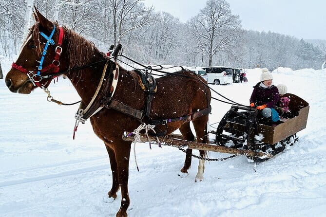 Horse-drawn sleigh & making local cuisine - Who Will Love This Tour?