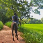 Horse Ride around a Village from Sigiriya - The Value of This Ride: Is It Worth the Price?