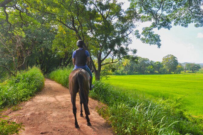 Horse Ride around a Village from Sigiriya - The Value of This Ride: Is It Worth the Price?
