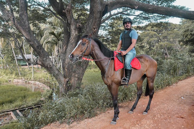 Horse Ride Experience from Dambulla - The Sum Up: Is the Horse Ride from Dambulla Worth It?