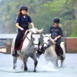 Horse Riding and Beach Trails on Koh Samui - Understanding the Experience: What Makes It Special?
