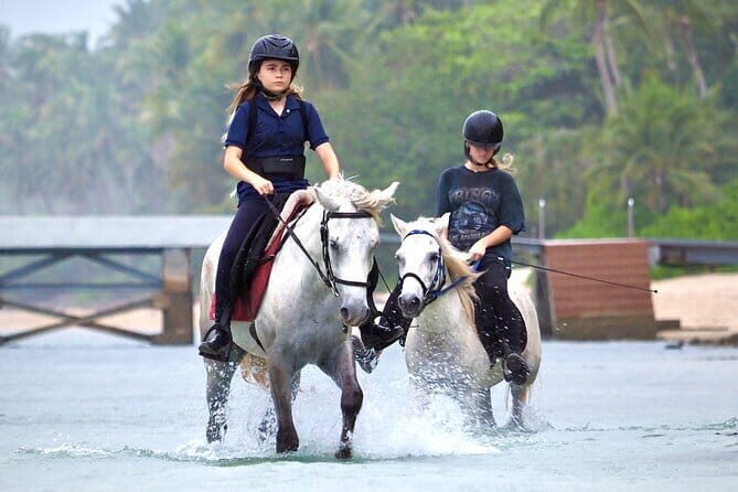 Horse Riding and Beach Trails on Koh Samui - Understanding the Experience: What Makes It Special?