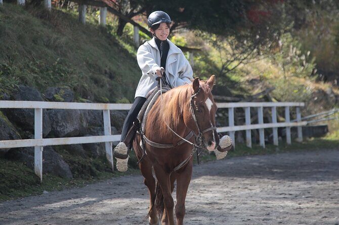 Horse riding Experience in Nature Rich Lake Shirakaba - Final Thoughts