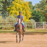 Horse Riding for Beginners from Negombo - Why Choose This Tour?