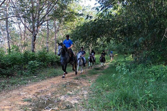 Horseback Riding 1 hour trail - What the Experience Looks Like